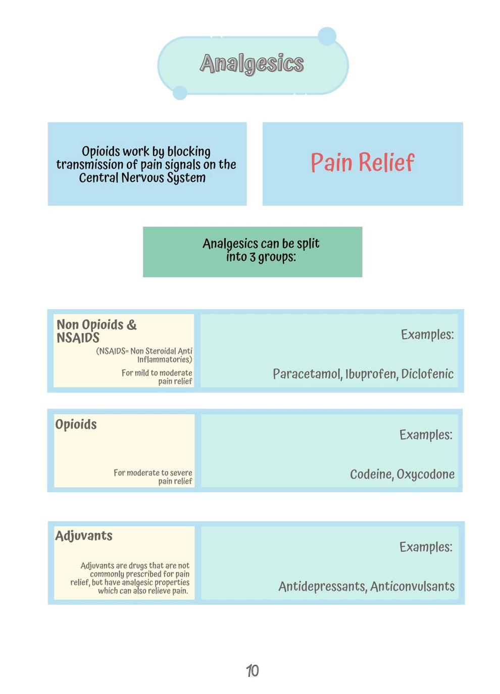 Medication Pal DIGITAL DOWNLOAD – Nurse Bec Supplies
