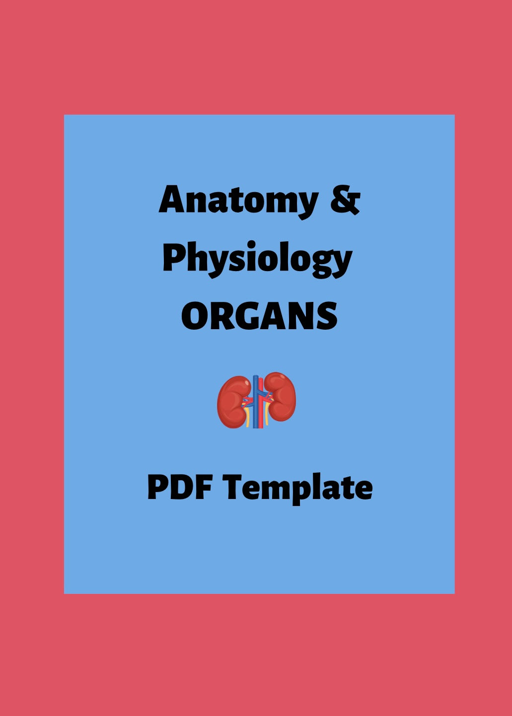 Anatomy & Physiology ORGANS Template (DIGITAL) – Nurse Bec Supplies